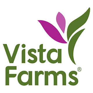 PuertoRico Archives - Bougainvillea, Ixora & Hibiscus wholesale young ...